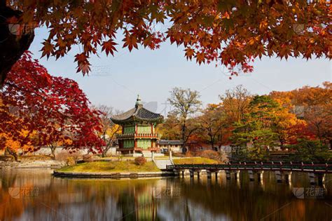 景福宫 首尔 秋天 宫殿 韩国 季节 光化门广场 神殿 水平画幅 墙图片 秋天图片图片素材 花瓣网