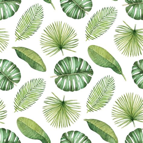 올 여름을 화려하게 물들일 고퀄리티 트로피컬 패턴 컬렉션 Tropical Leaves Pattern Tropical Leaves Tropical Pattern