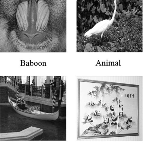 Comparison Of BPPPSNR Curves For Different Encryption Schemes Download Scientific Diagram