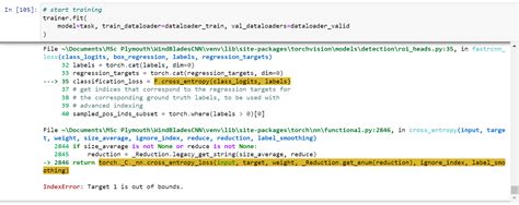 Training Indexerror Target 1 Is Out Of Bounds · Issue 7 · Johschmidt42 Pytorch Object
