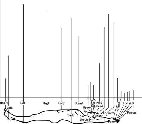 Tpdt For Different Areas Of The Body After [9] Download Scientific Diagram