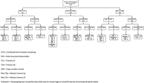 Flow Diagram Of Nipt Testing Performed As A Second Line Test
