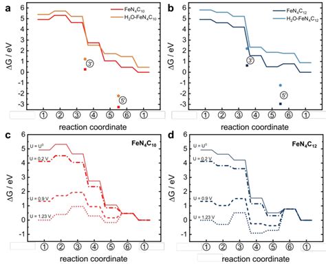Thermodynamic Profiles Of The Catalyst Models A B Relative Gibbs