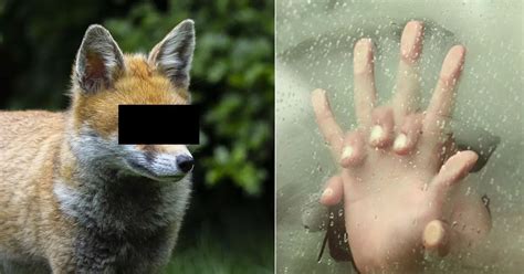 My Girl Is A Sex Pest I Ve Had It Off In More Lay Bys Than The Average Fox Daily Star