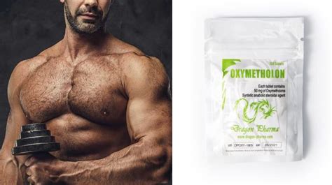 Anadrol Cycle Wikistero The Bible Of Anabolic Steroids