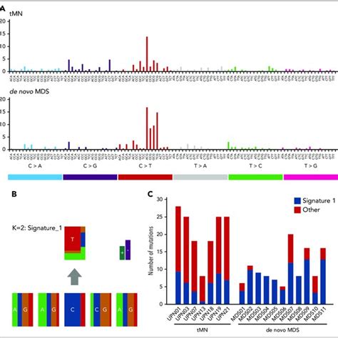 Mutational Signature Analysis A A Mutational Signature Was Created Download Scientific