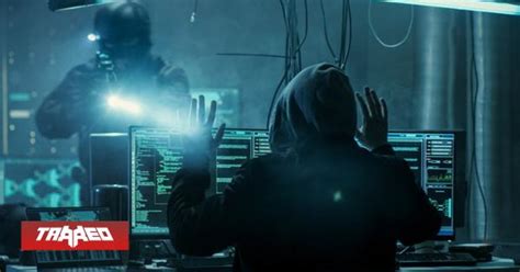 plot twist hacker que robó 600 mm le ofrecen trabajo de la misma