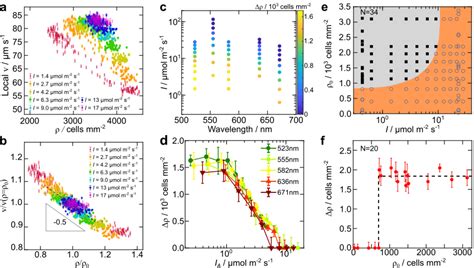 Light Intensity And Wavelength Control The Emergence Of Phase