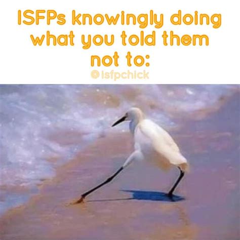 💛isfp💛 On Instagram 😇😇 Isfp Isfppersonality Isfpmeme Isfpmemes
