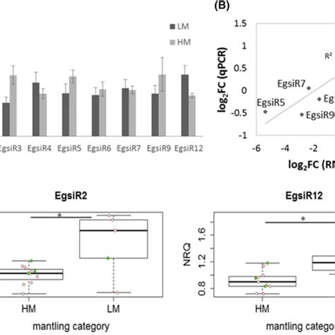 Expression Of Selected Srnas A Stem Loop Qrt Pcr Expression Of The