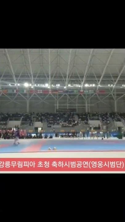 제4회월드무림피아대회 초청시범공연강릉 경희대석사영웅태권도시범단 Youtube