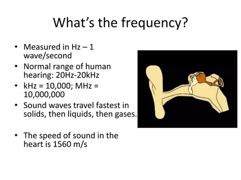 Echo Physics And Doppler Ppt