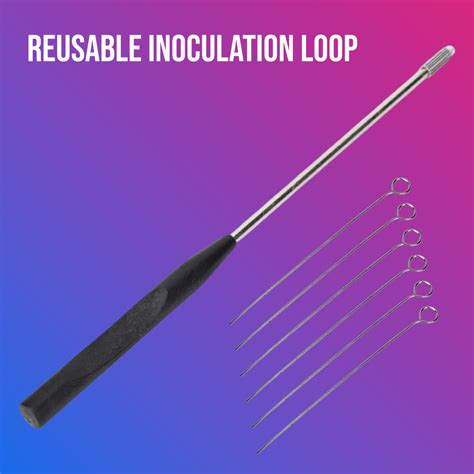 Reusable Inoculating Loop With 25 Nichrome Needle Tip Inoculation Ring Mycopunks