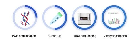 Dna Barcoding Services Atgc Co Ltd