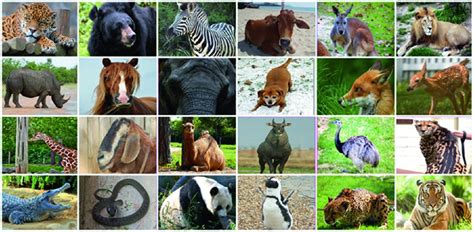 Bhupendra Kumar On Linkedin Ai Machinelearning Deeplearning Ml Artificialintelligence