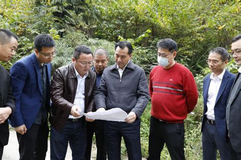 张骏调研杭加矿山规划选址工作 “四川•朝天”门户网