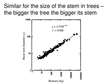 Ppt 33 Allometric Scaling Laws Powerpoint Presentation Free Download Id1725241