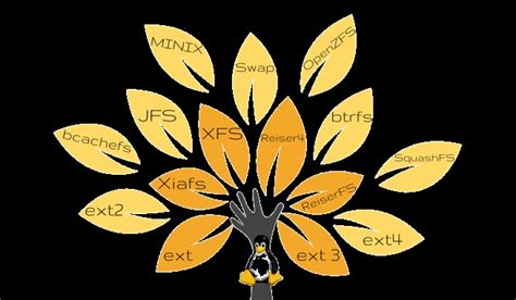 Linux File System Coding Ninjas