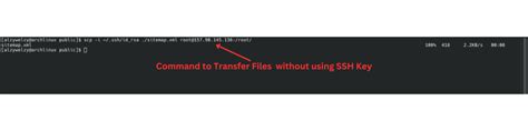 Master File Transfers On Linux How To Use The Scp Command Effectively