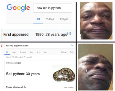 How Old Is Pseudocode R ProgrammerHumor