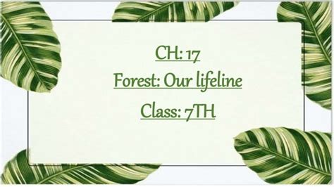 Ch 17 Ppt Class7 Pptx