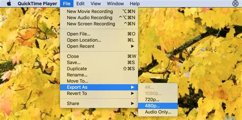 Quicktime 6 Pro