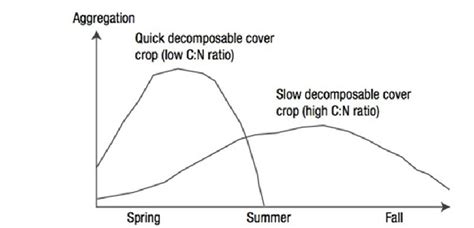 9 Crop Residue Decomposition Based Cover Crop Cn Ratios From