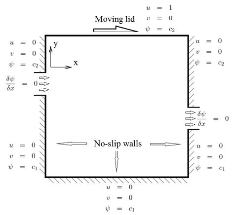 Classroom Fundaes Lid Driven Cavity Post