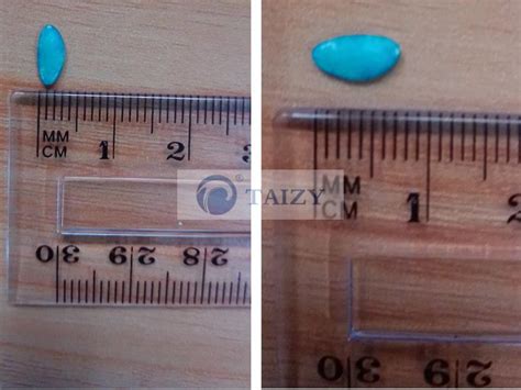 Pumpkin Seed Extractor Machine Sold To Australia Melon Seed Extractor