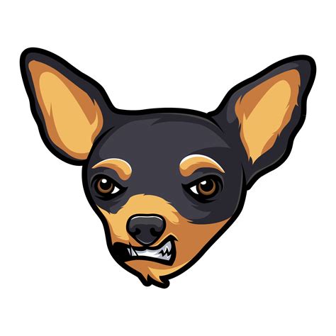 Rcore Vehicle Radio Working With Sql Standalone Scripts Launcherleaks