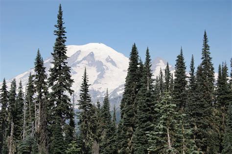 Beta Theta Pi University Of Puget Sound Beta Rose Last Night After Chapter The Men Of