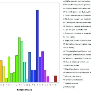 COG Function Classification By BLASTx With An E Value Threshold Of