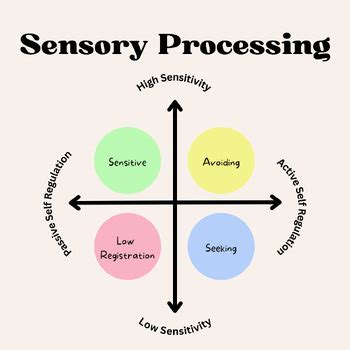 Sensory Processing Differences Visual By Ms Rachel OT TPT