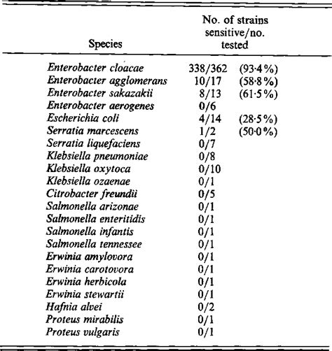 Enterobacter Aerogenes 1000x