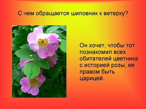 Ж. Санд «О чём говорят цветы?» - презентация онлайн