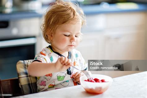 사랑스러운 아기 소녀는 숟가락에서 신선한 건강한 라즈베리 음식 어린이 수유 및 개발 개념을 먹습니다 귀여운 유아 숟가락을 들고 하이체어에 앉아 스스로 먹는 법을 배우는 딸