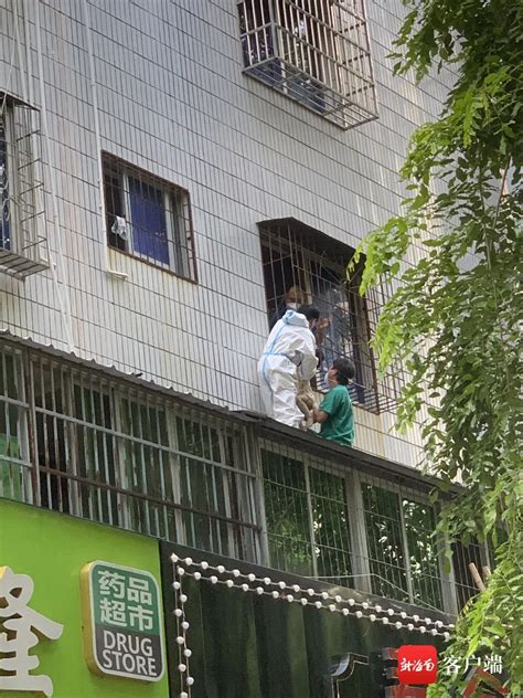 孩子卡在三楼窗外防盗网上，“大白”紧急施救