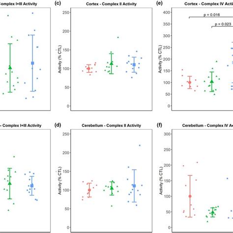 Enzymatic Activity Of Mitochondrial Complexes Enzymatic Activity Of
