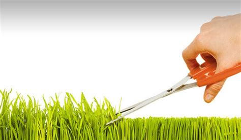 Importance Of Details By A Detail Oriented Person