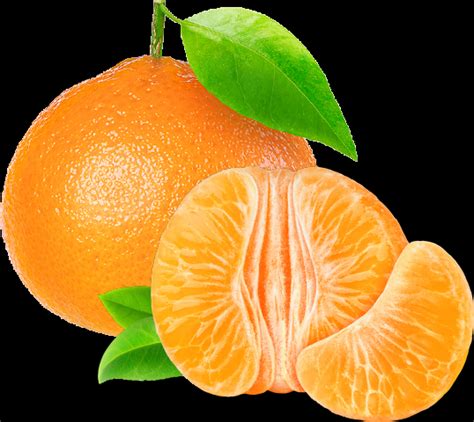 Orange Vs Clementine Citrus Fruit Differences Unveiled