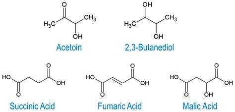 Fumaric Acid Structure