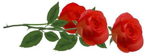 Clipart Rød Rose