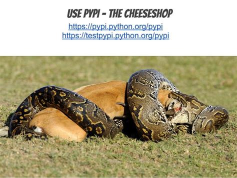 python from programmer to tamer ppt