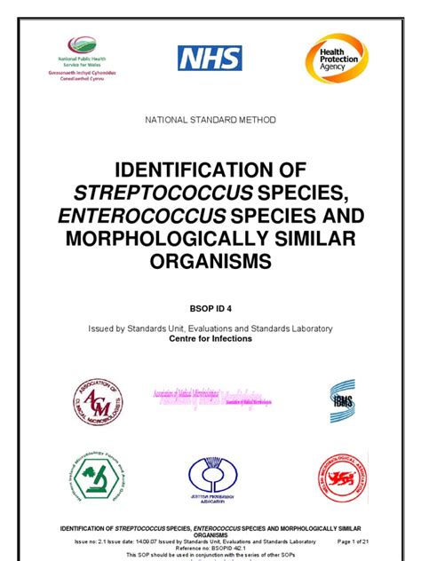 Identification Of Streptococcus Species Enterococcus Species And Morphologically Similar