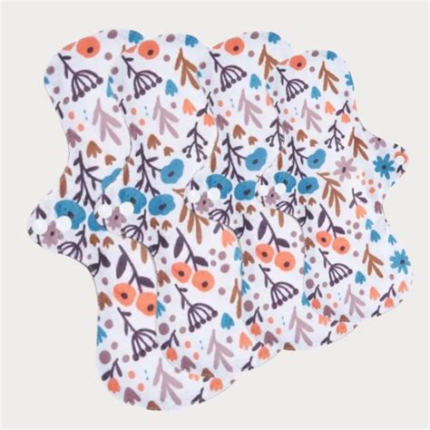 Absorbante Reutilizabile Chilotis