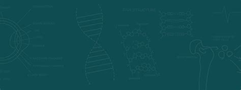 Health Data Interoperability Standards And Policy Microsoft Research