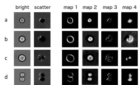 exemplary activation patterns of intermediate layers plotted are
