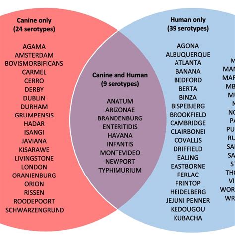 Salmonella Enterica Serovars By Isolate Source Showing Serovars Download Scientific Diagram
