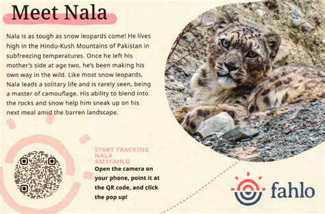 20 Qr Codes Animals Ideas Qr Codes Animals Coding Qr Code