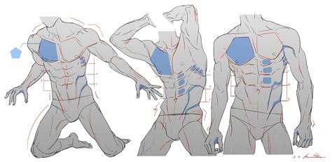 Muscular Male Torso Reference Deviantart Is The World S Largest Online